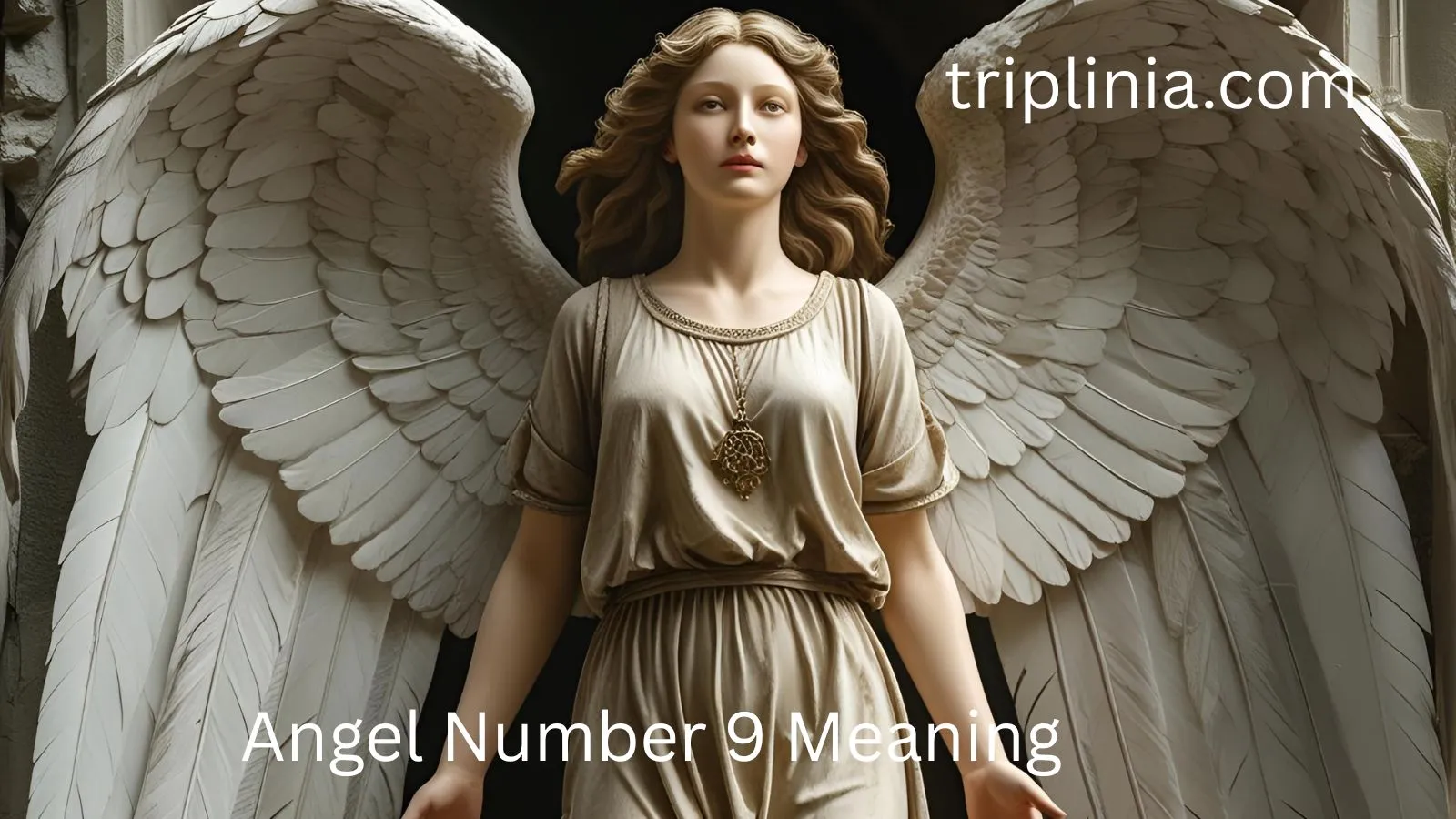 What Is the Angel Number 9 Meaning? 🌈 Unlock Its Secrets - Triplinia.com